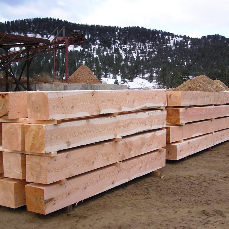 TIMBER ORDER PROCEDURE - Marks Lumber